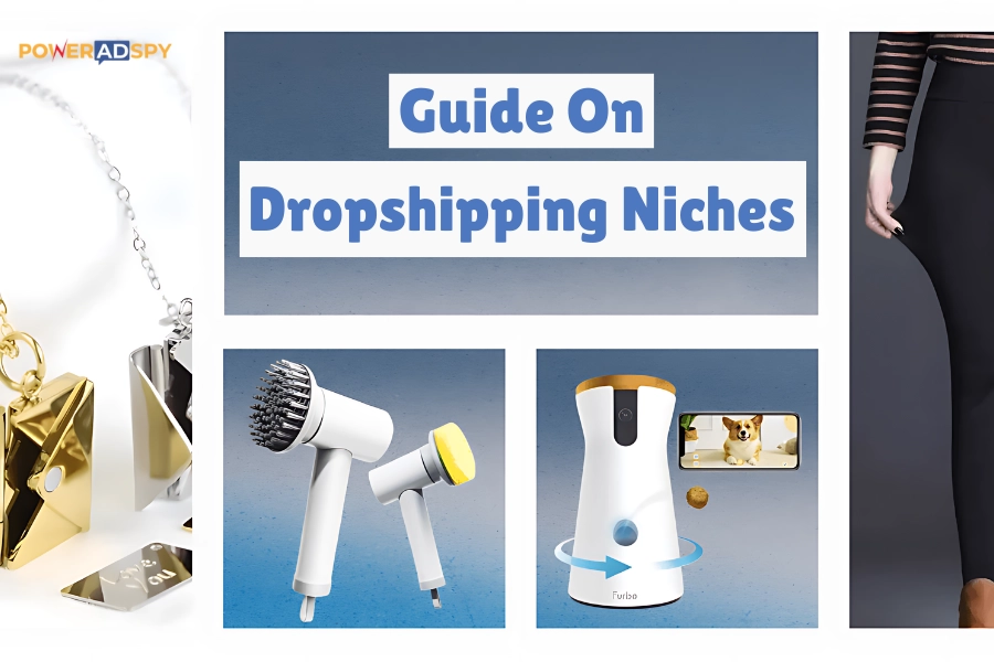 The Ultimate Guide To Profitable Dropshipping Niches For 2025 - PowerAdSpy